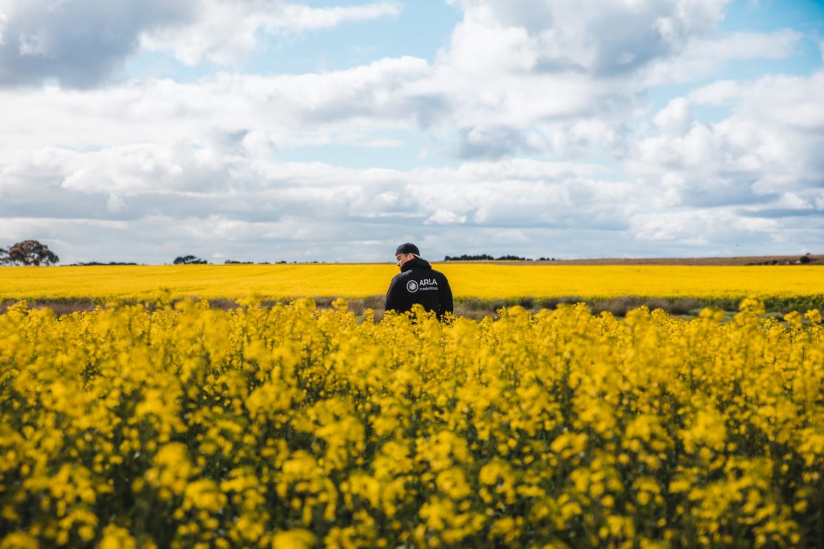 louis-amal-414088 | Certified Allergy & Asthma Consultants